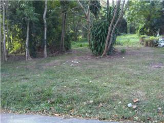 Shoenstatt, fresco y amplio - Ruby REALTY